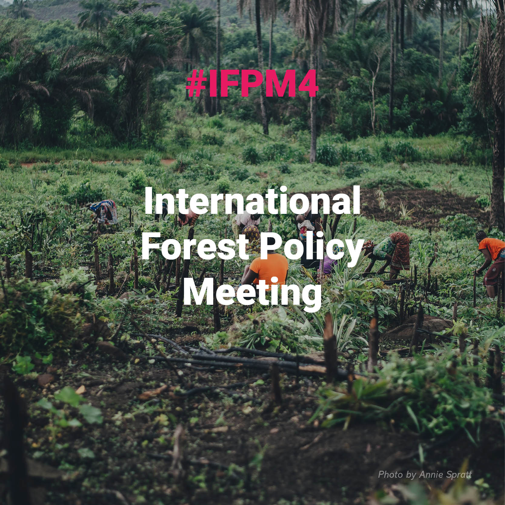 International Forest Policy Meeting | European Forest Institute