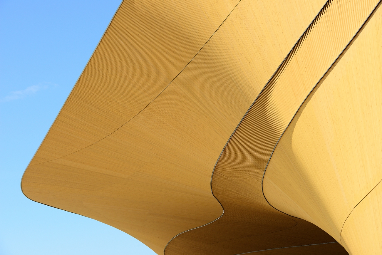 New EU project will offer forest-based policy pathways for a climate ...