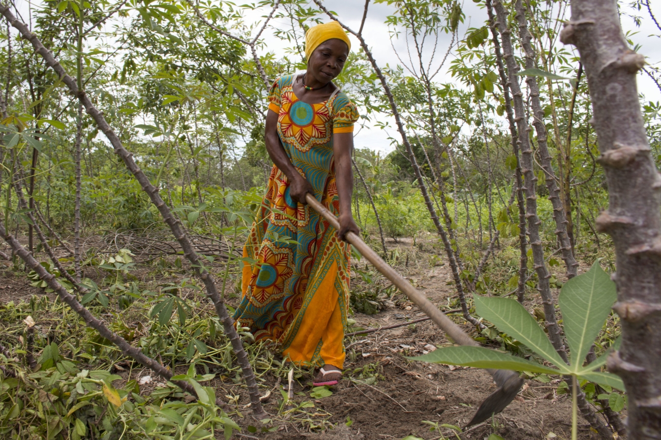 Introducing a framework to analyse gender equality in the forest sector ...