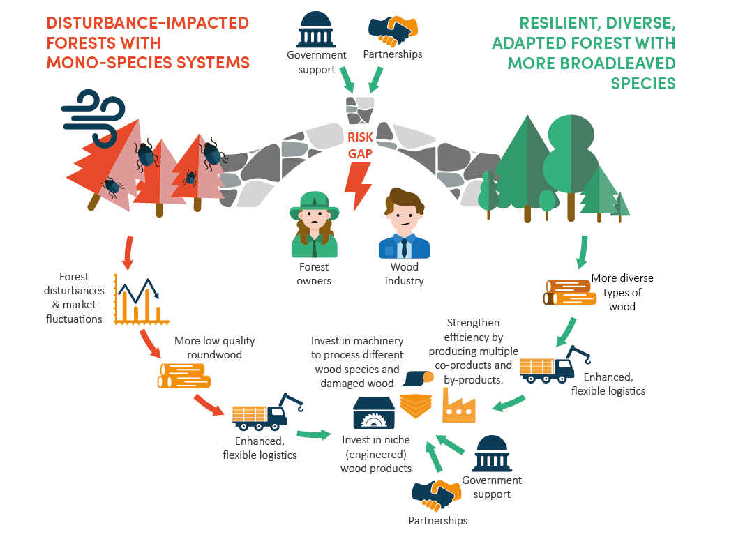 Guidance on enhancing climate resilience of forest value chains | European Forest Institute