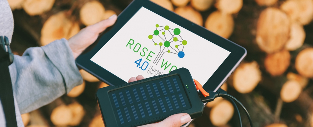 ROSEWOOD4.0 Knowledge Platform for Regional Forest Innovation | European Forest Institute