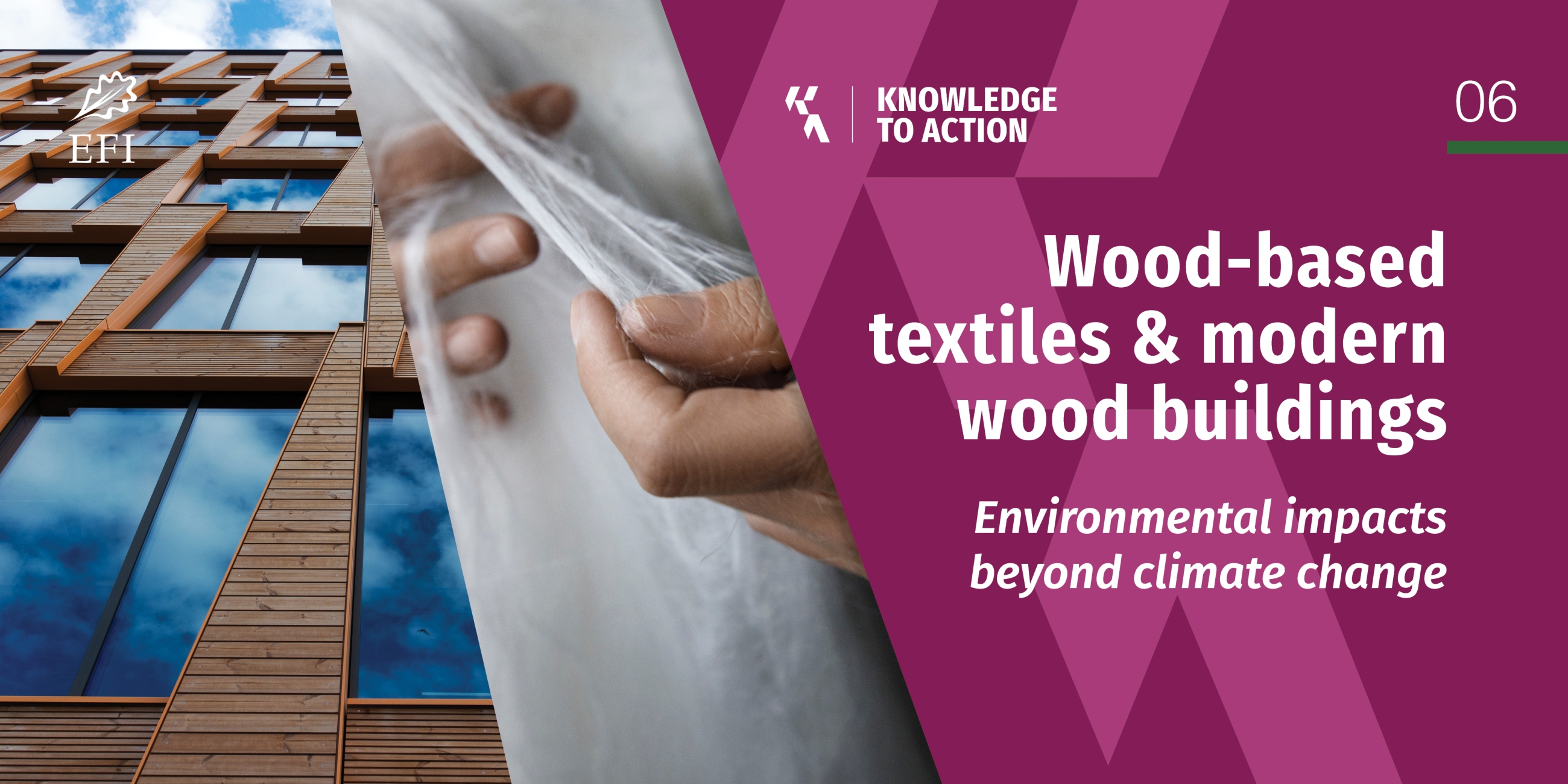 New EFI report on wood-based textiles & modern wood buildings ...