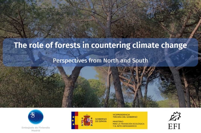 High-level seminar on the potential of forests in climate change mitigation | European Forest ...