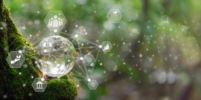 The new age of forest monitoring: A common European forest monitoring ...