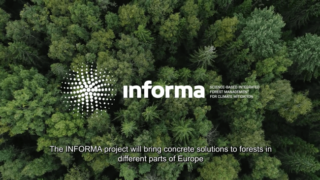 New video: Enhancing EU's carbon sinks through sustainable forest ...
