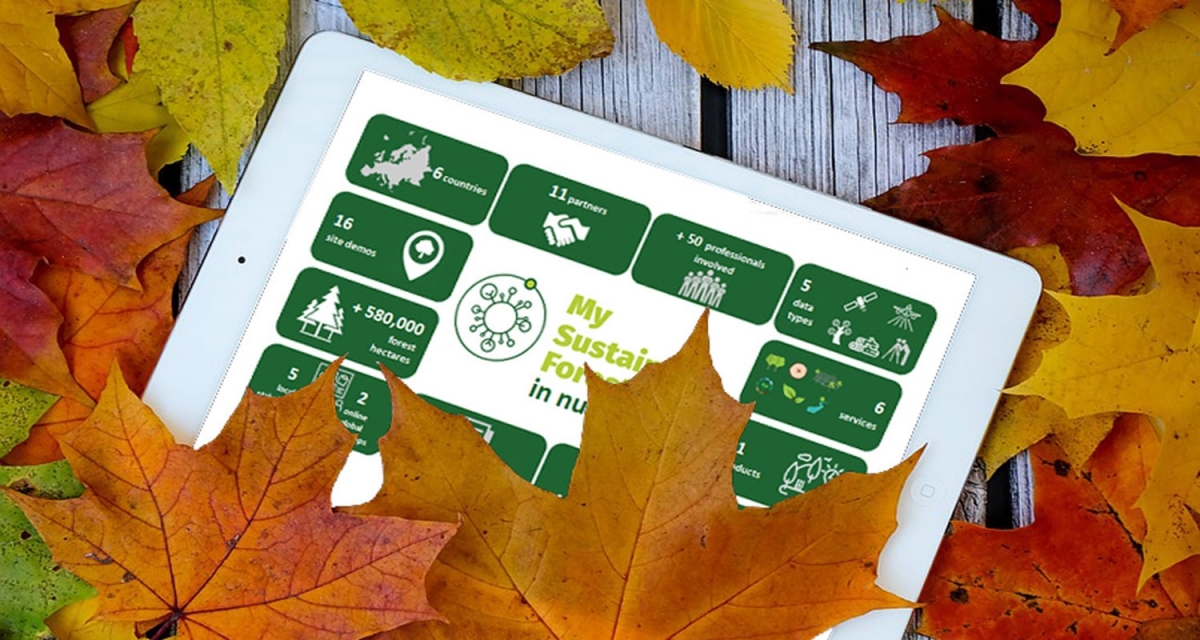 Refining the new My Sustainable Forest platform in Portugal for a ...