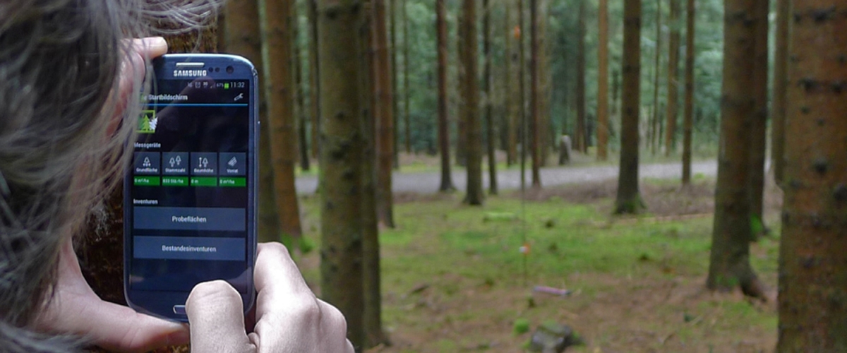 MySustainableForest - Operational sustainable forestry with satellite ...