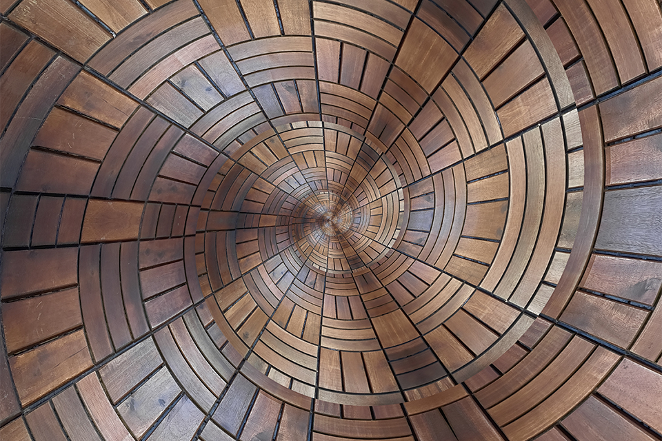 New study analyses how forests and wood use can help meet climate goals ...