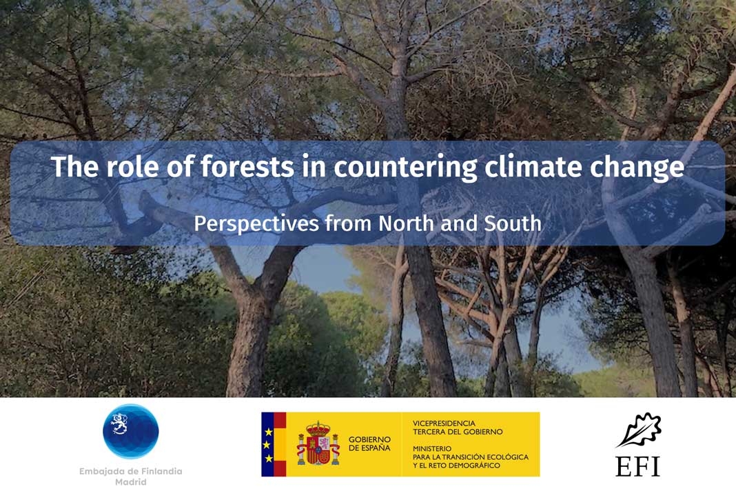 High-level seminar on the potential of forests in climate change ...