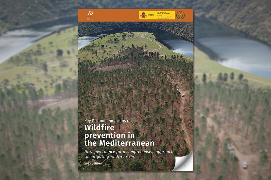 Wildfire Prevention Programs Community Wildfire Protection Plan (CWPP)