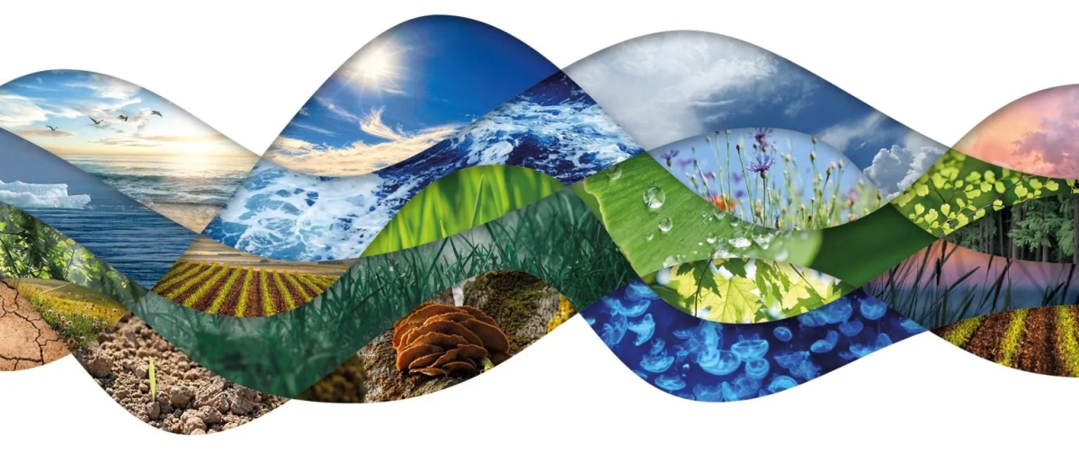 ‘10 Must-Knows’ as guide for preserving biodiversity | European Forest ...