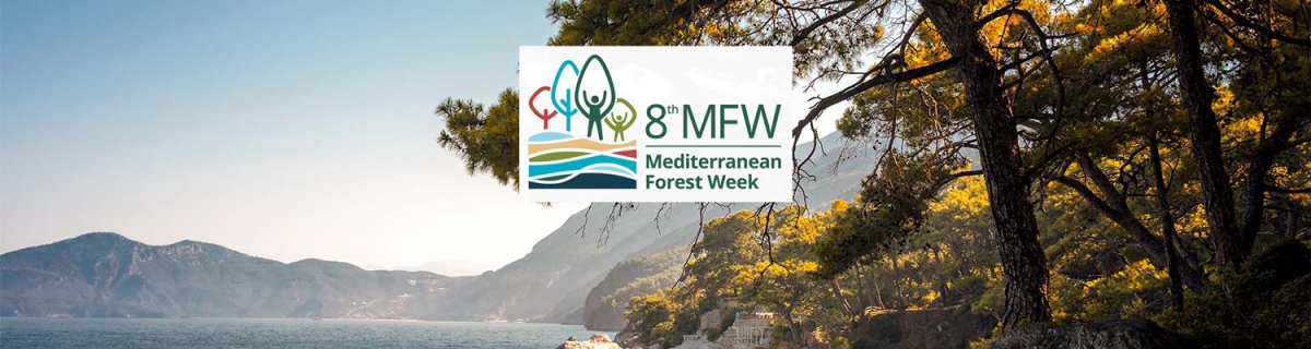 Collaboration across the region for the 8th Mediterranean Forest Week ...