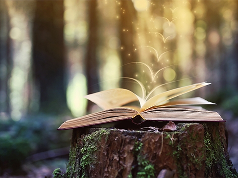 ThinkForest discussions explore the science-policy process | European ...