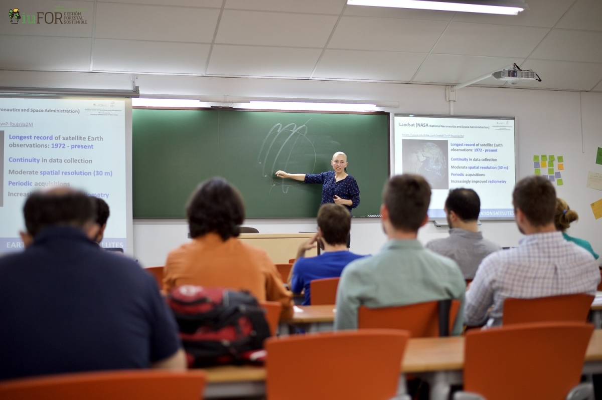 Knowledge transfer & capacity building | European Forest Institute