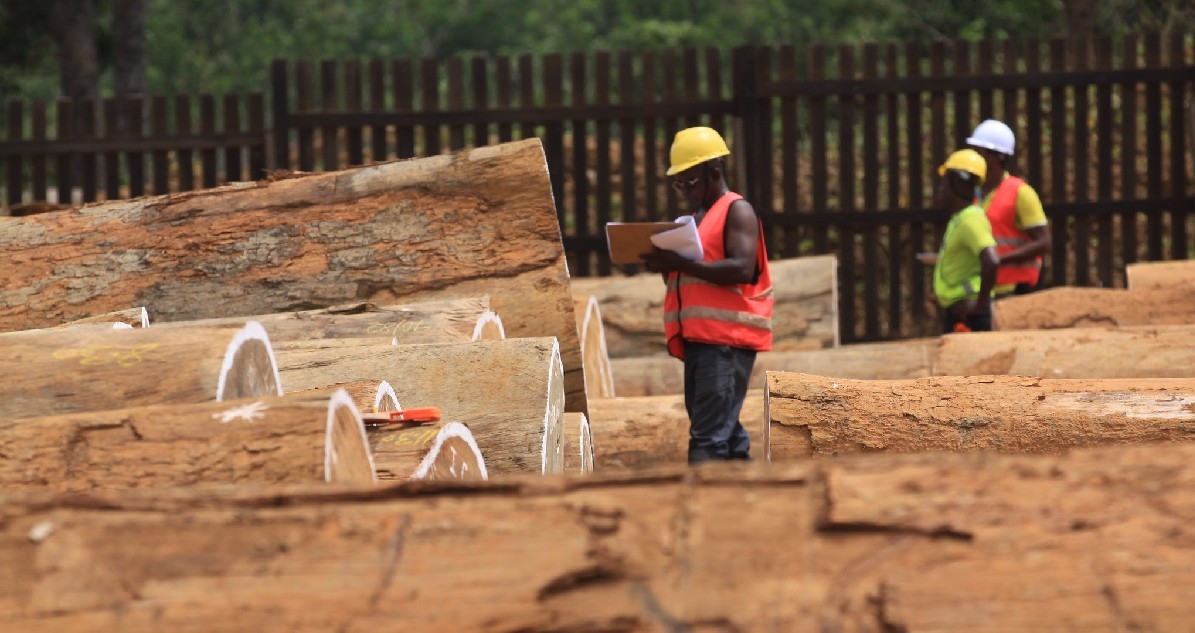 NewGo!: scientific evidence of FLEGT VPA's impacts | European Forest ...