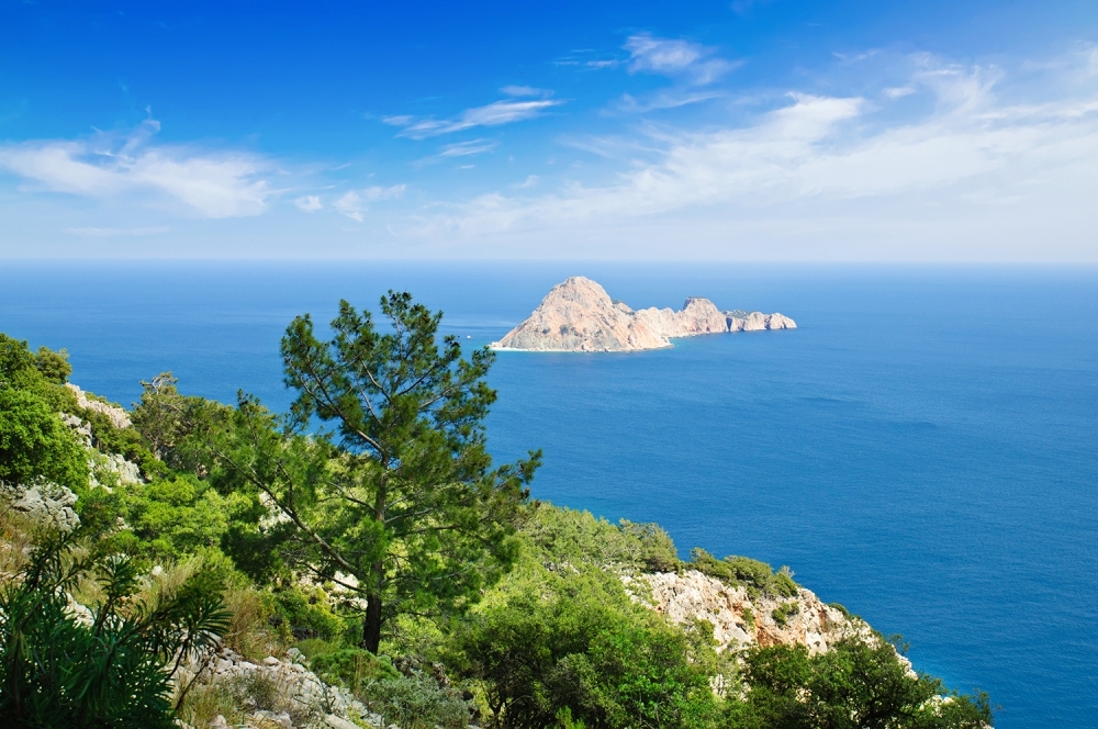 7th Mediterranean Forest Week | European Forest Institute