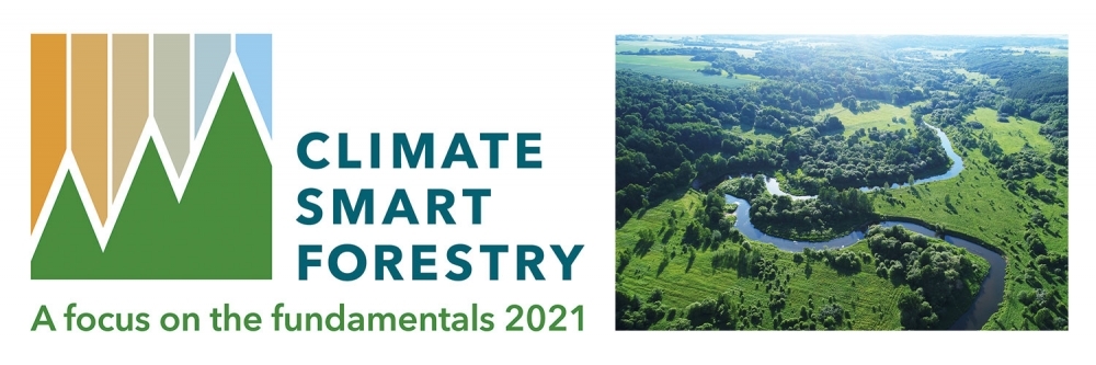 Climate Smart Forestry: A Focus on Fundamentals in 2021 | European ...