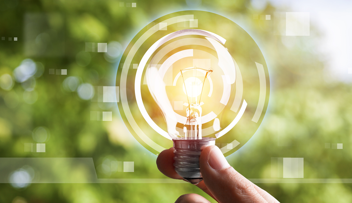 The role of innovation in managing new challenges in the forest-based sector at regional level ...