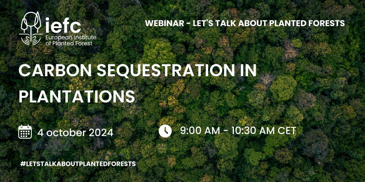 Let’s Talk About Planted Forests: Carbon sequestration in plantations | European Forest Institute
