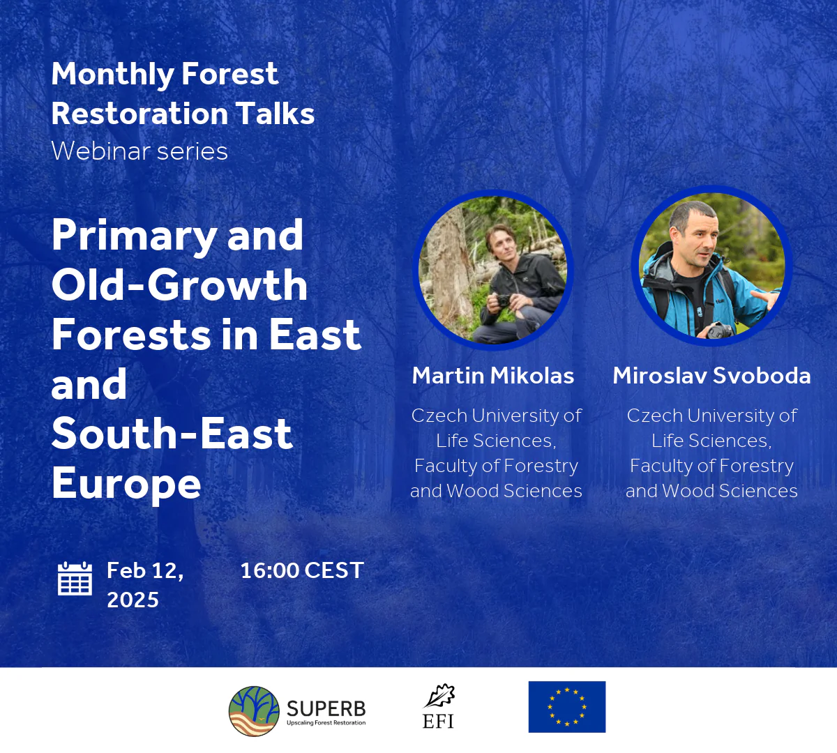 Primary and old-growth forests in east and south-east Europe: structure ...