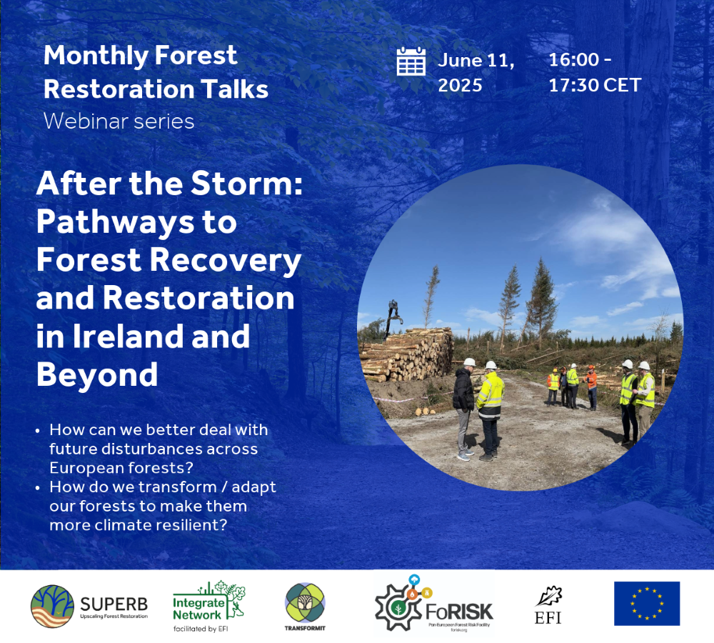 WEBINAR: After the Storm: Pathways to Forest Recovery and Restoration ...