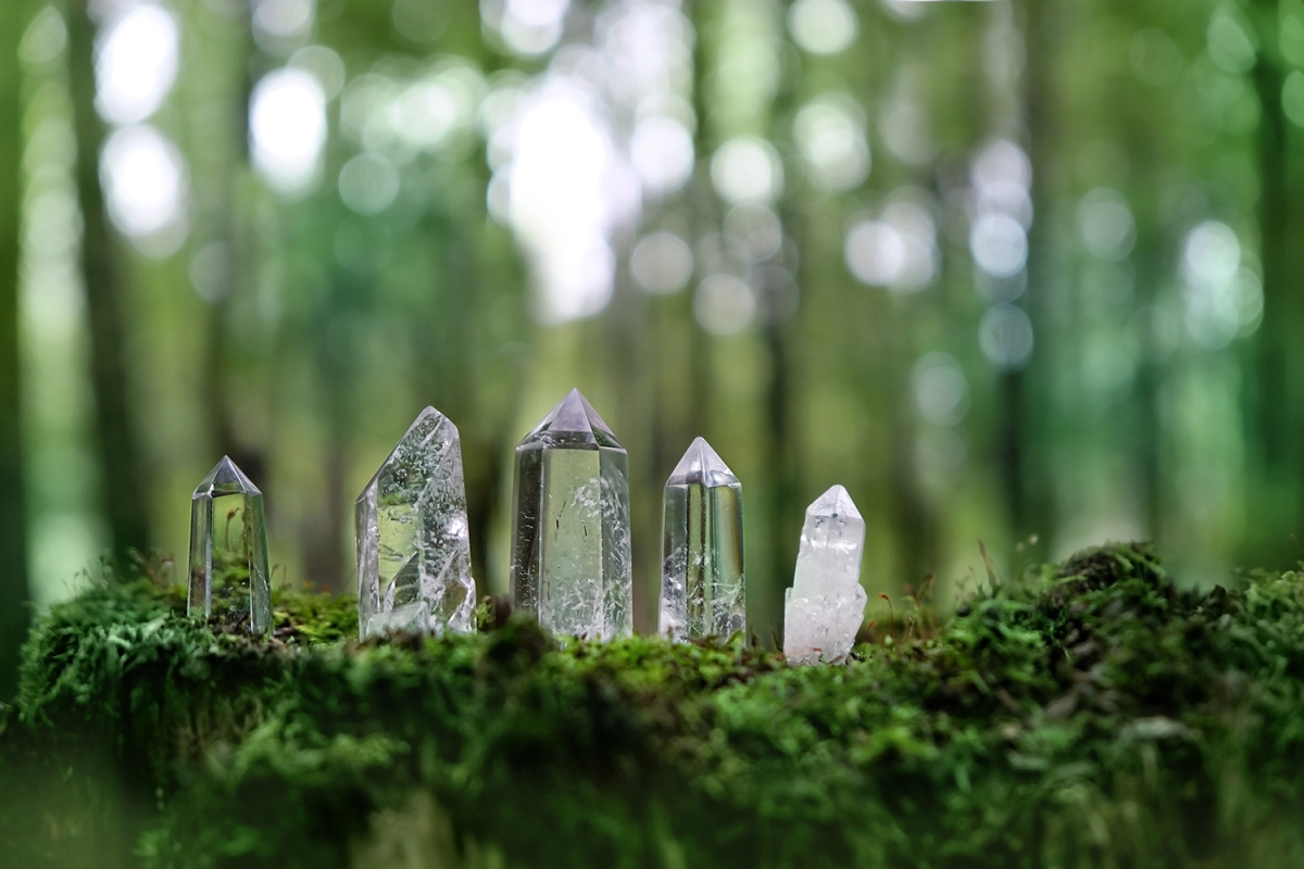 Re-spiritualizing forests | European Forest Institute