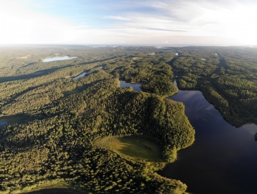 News | European Forest Institute